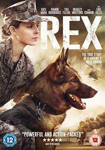 Rex [DVD] [2017] – Hit