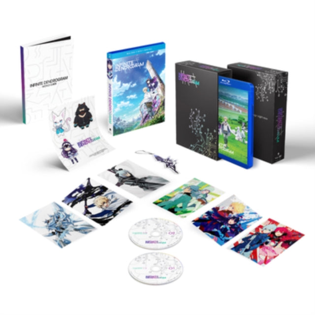 Infinite Dendrogram: Complete Series [Blu-ray / Limited Edition] – Hit