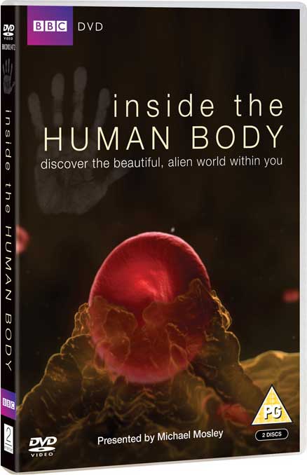 Inside the Human Body – Hit